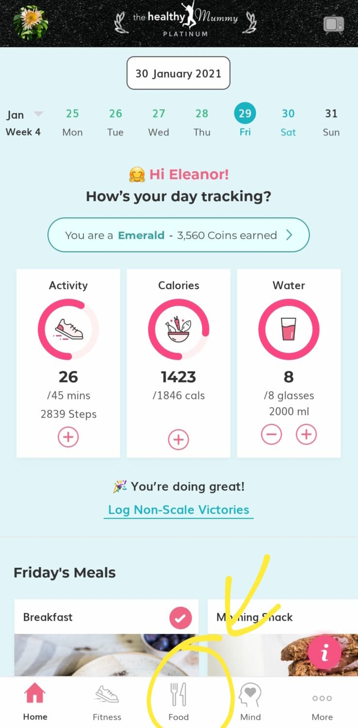 How to Customise to different Meal Plans in the Healthy Mummy App